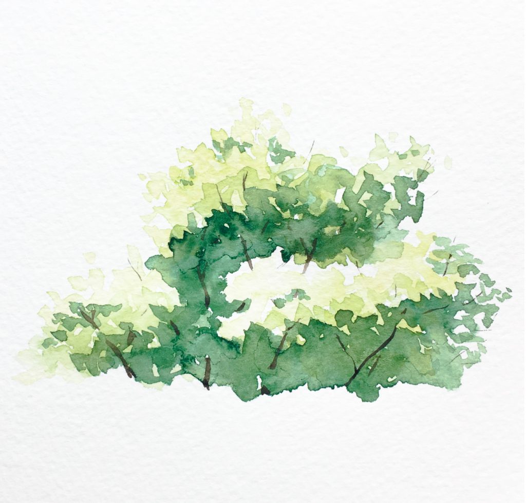 Watercolor Bushes and Trees in 4 Easy Steps – ReFine Art Blog
